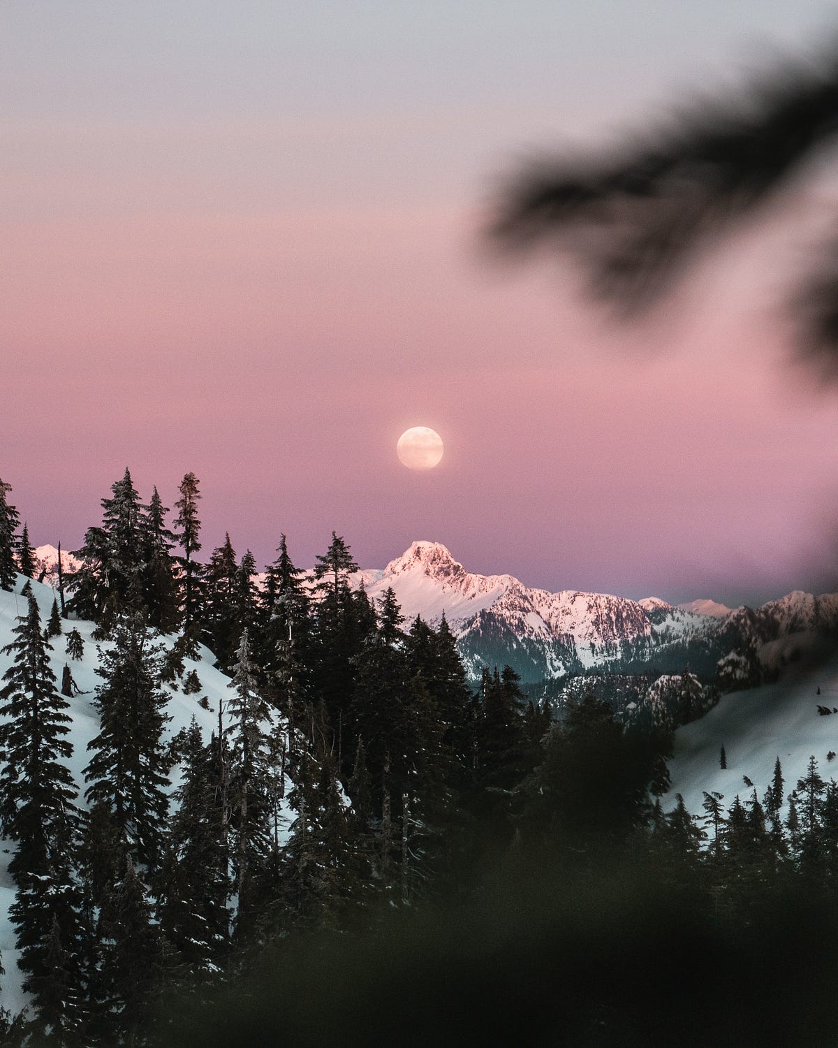 Pink Moon - Lit Up - Medium