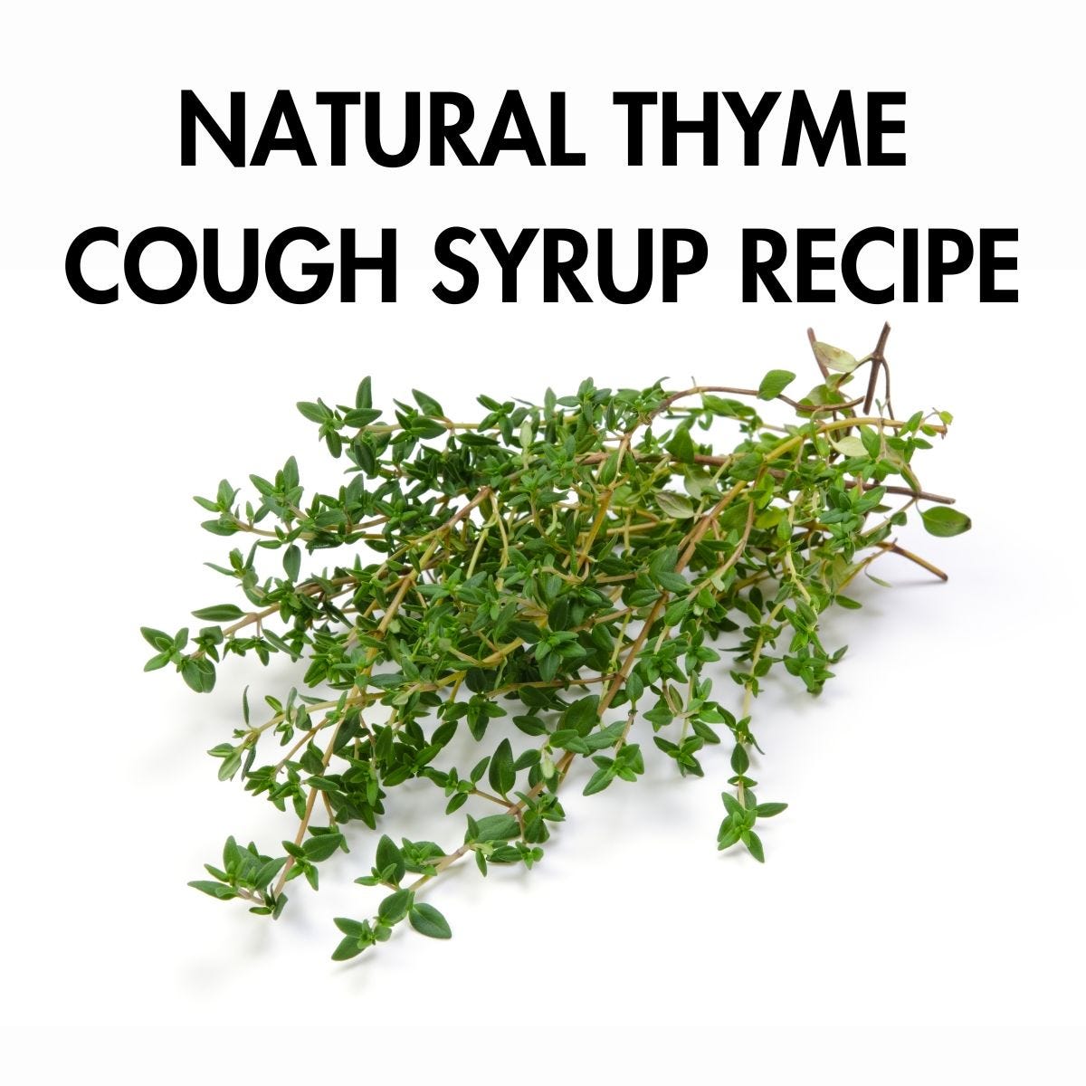 Natural Thyme Cough Syrup Recipe: DIY Relief for Cold & Flu🤧 | by Val Garner - Friend of Medium ...