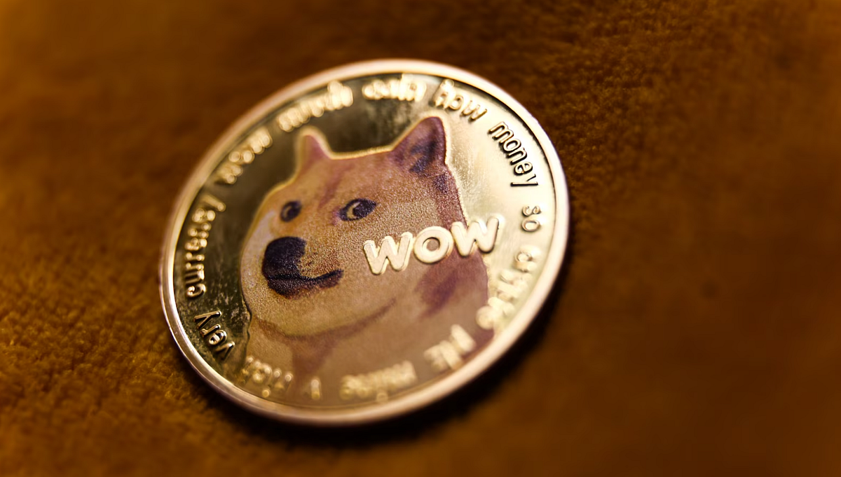 Introducing Doginal DRC20: Dogecoin’s Token Standard for the Future ...