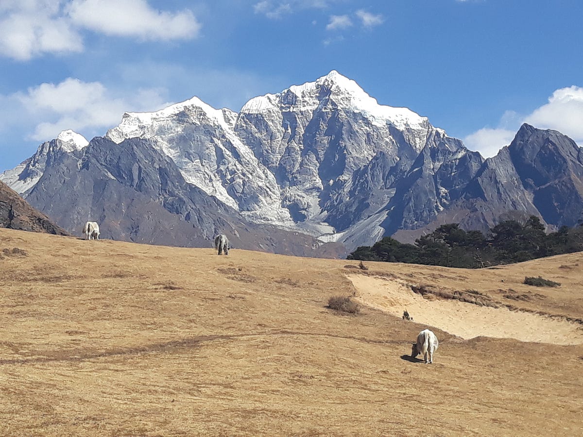 kanchanjanga base camp trek. Kanchenjunga base camp trek is one of ...