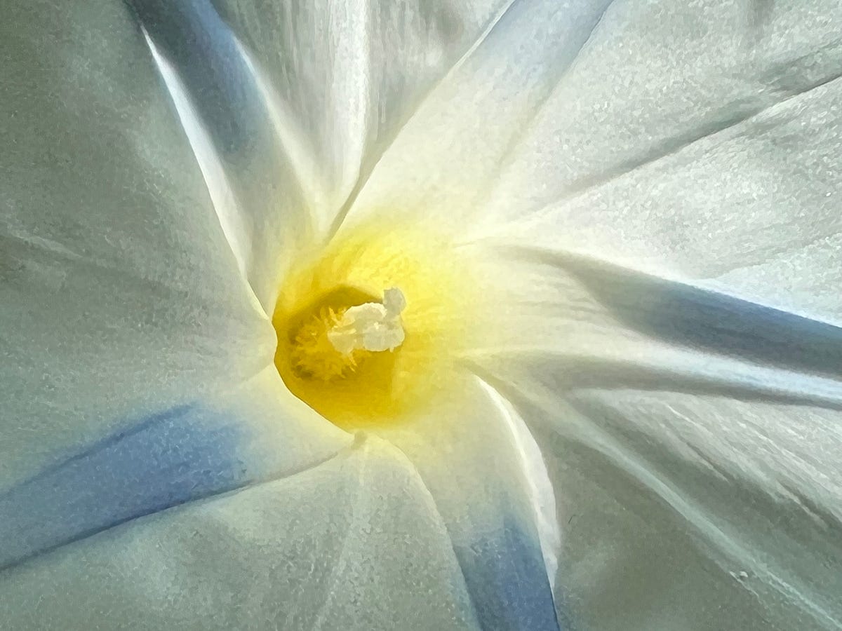 What is Inner Presence? You probably heard about Executive Presence but ...