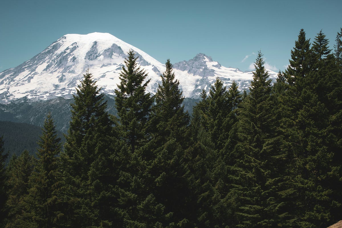 Evergreen Content: Definition, Strategy and Examples | by Awware | Medium