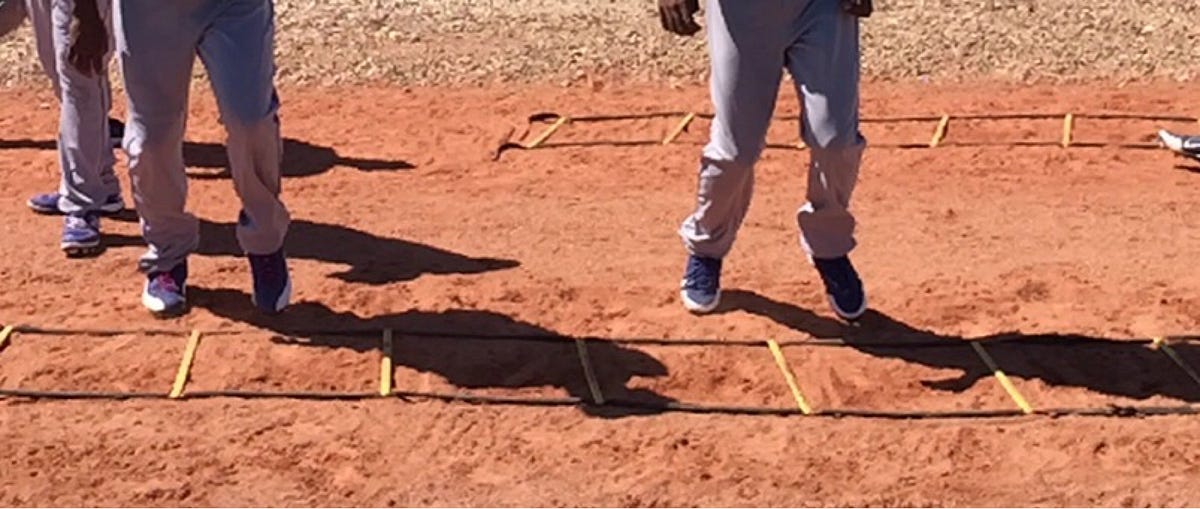 Sport-Specific Training vs. General Physical Prep for the High School ...