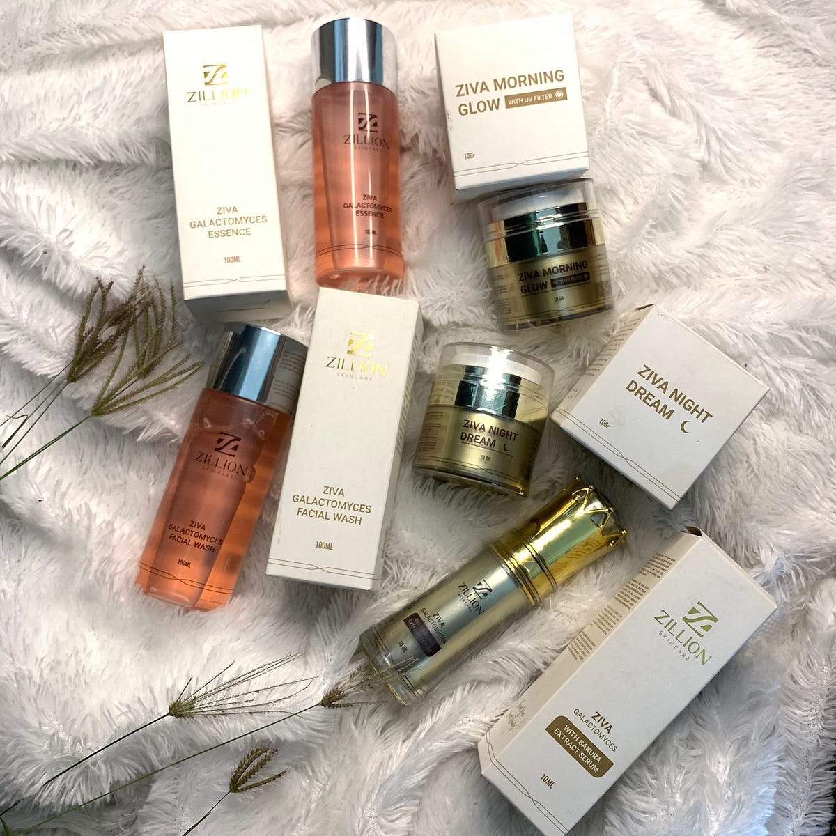 Skincare Terbaru, Zillion Skincare, pemakaian skincare yang benar ...