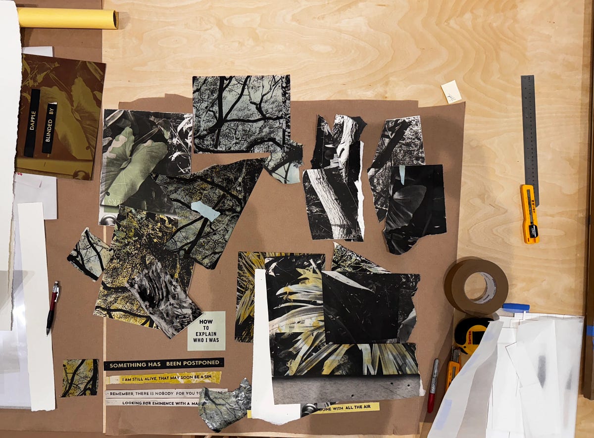 Feature | Translations stemming from process: Jillian Ross Print at ...