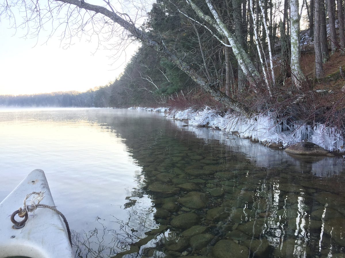 In your wintering, peace.. What paddling along a frozen shore… | by ...