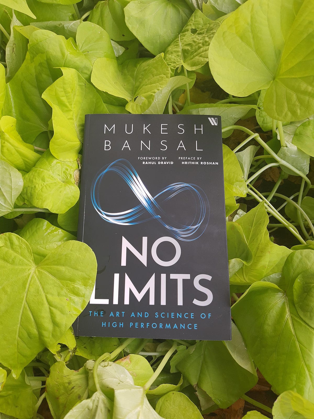 Book Review — No Limits: The Art and Science of High Performance by ...