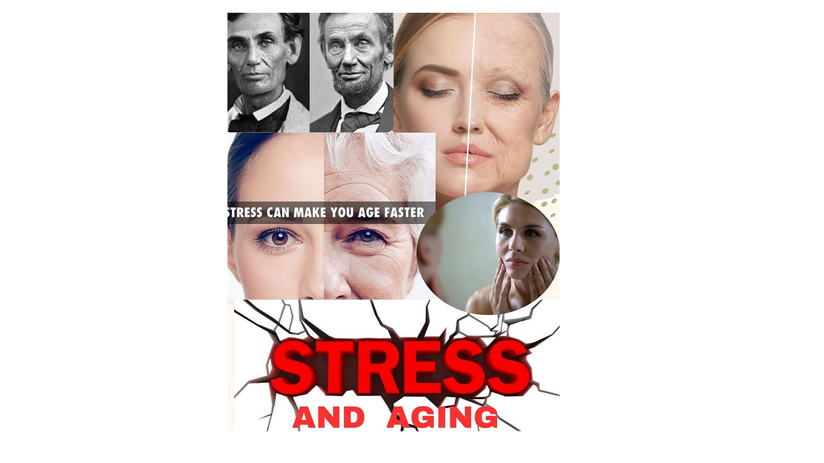 Stress significantly accelerates aging by impacting the body at a ...