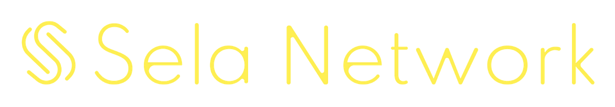 Introducing Sela Network — The Infrastructure That Finally Lets AI Use ...