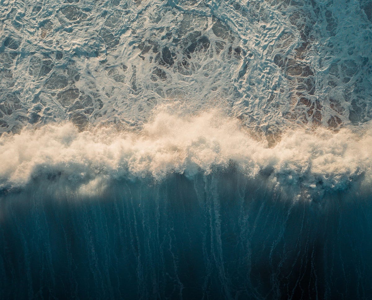 The Ocean of Compassion. A Buddhist Meditation on Embracing Life… | by ...