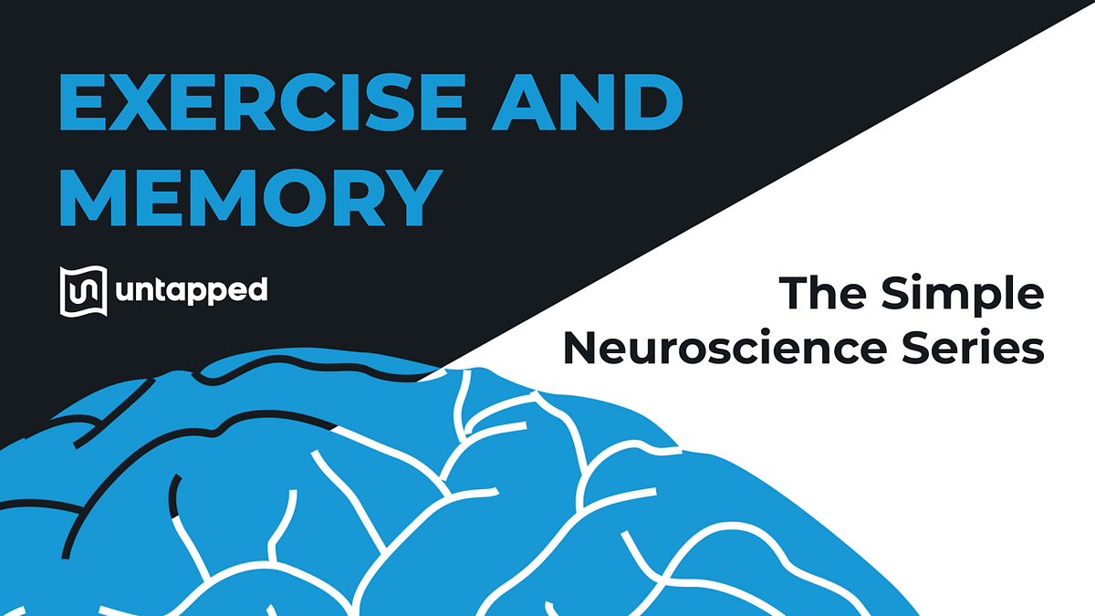 The Simple Neuroscience of Exercise and Learning | by Natalie Wilcox ...