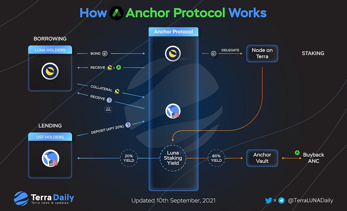 Ecosystem Anchor | by Dipruv | Medium