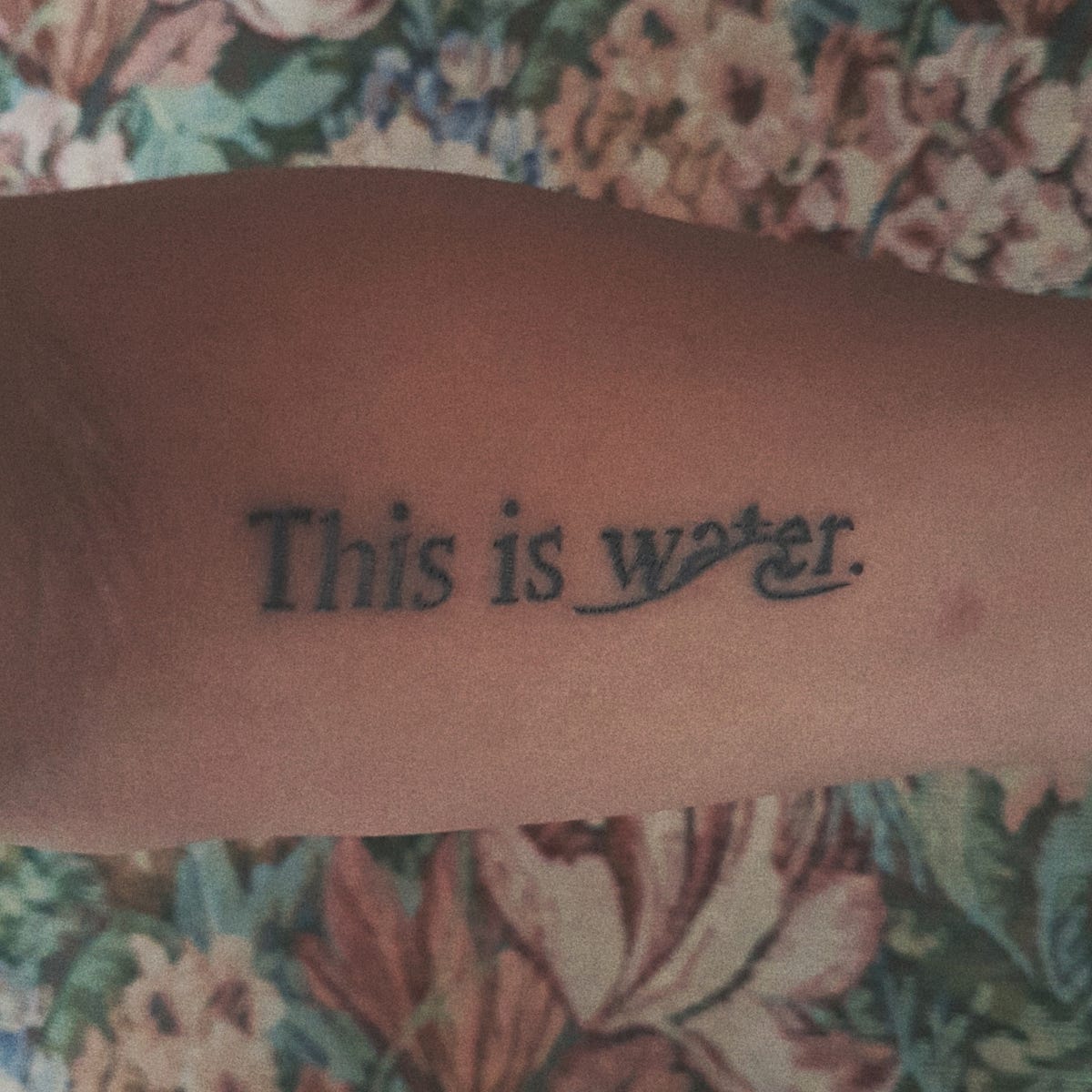 David Foster Wallace Taught Me the Key to Living Life and Made Me Get a ...