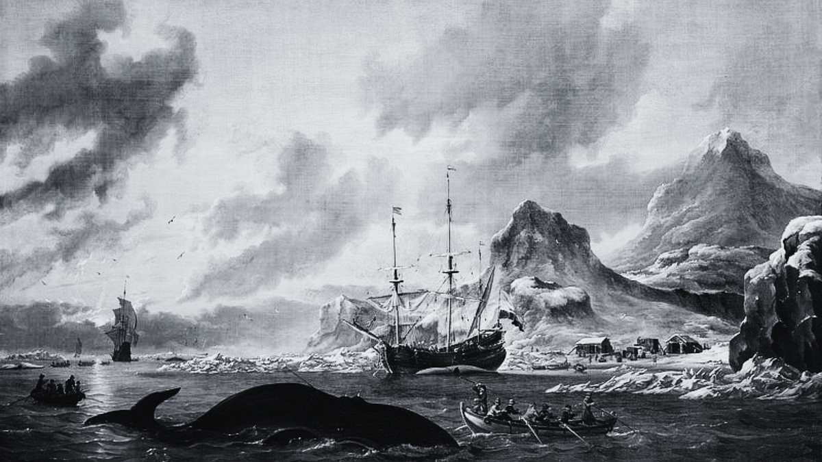 7 Dark Ghost Ships That Disappeared Without A Trace | by Faze ...