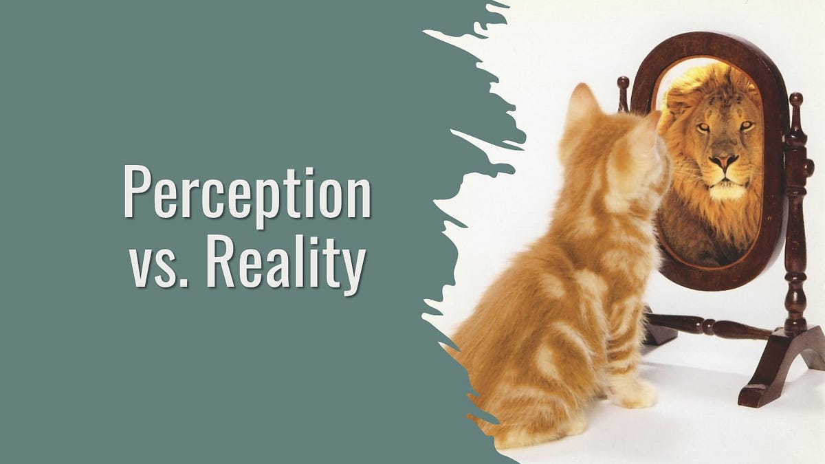 Perception vs. Reality — Why We Guess Wrong Every Time | by Joe Zingone ...