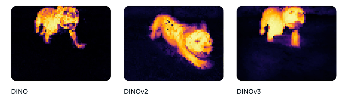 DINOv3: Meta’s AI That Learns to See Without Labels | by Edwin Lisowski ...