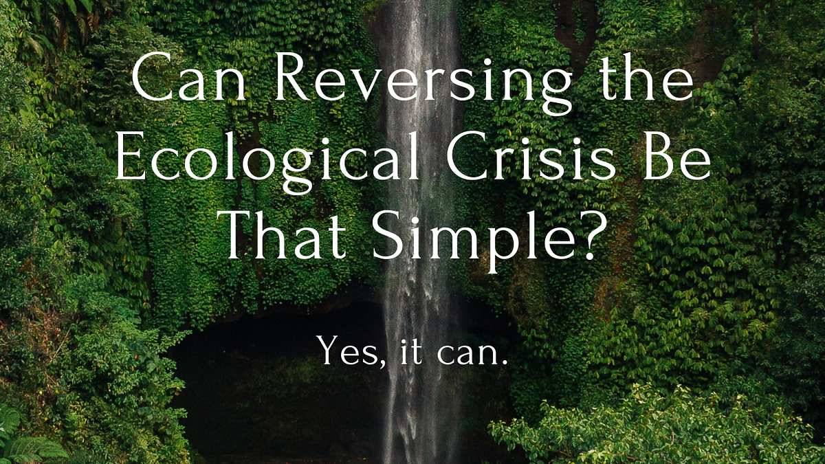 Can Reversing the Ecological Crisis Be That Simple? | by Erik Kvam ...