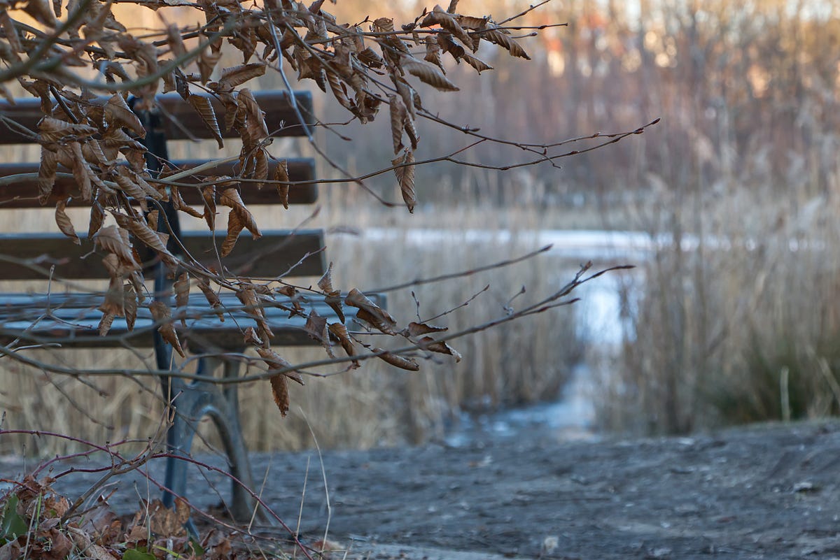 Winter Is Finally Over - The Shortform - Medium