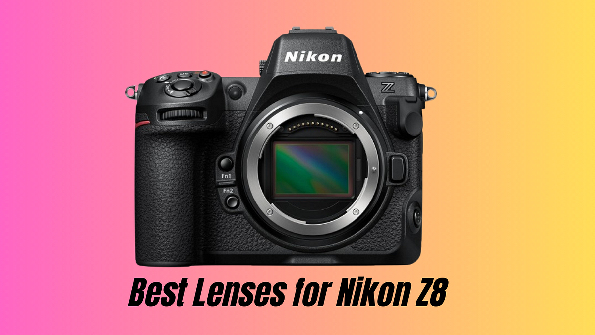 Best Lenses for Nikon Z8. A Personal Journey to Optical… | by Sharon ...