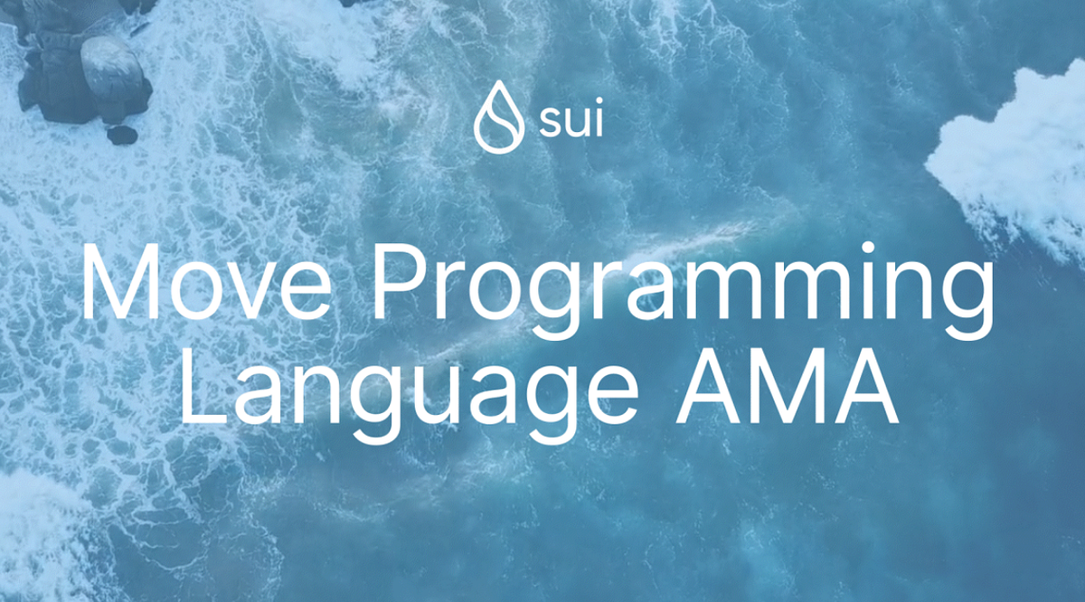 Recap 7/28 Sui AMA: Move Programming Language | by Dmitry Bozza | Medium