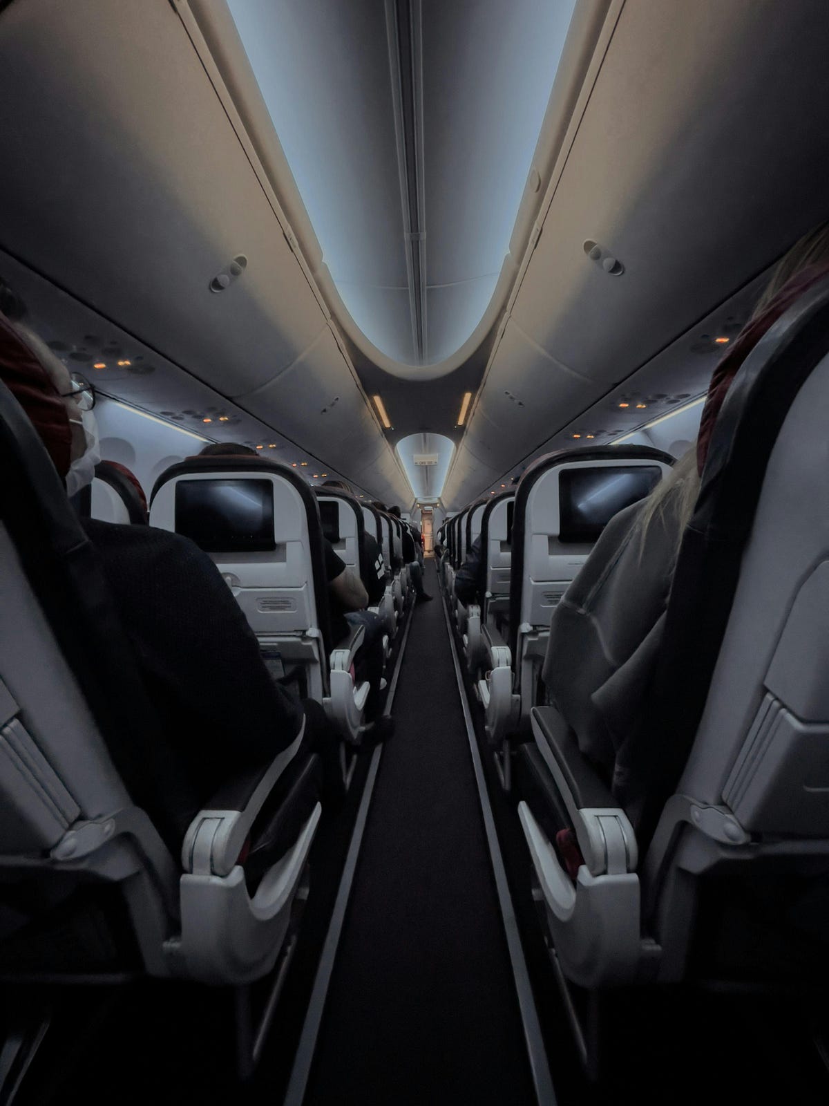 Air Travel Accessibility: Grounding Barriers, Lifting Rights | by ...