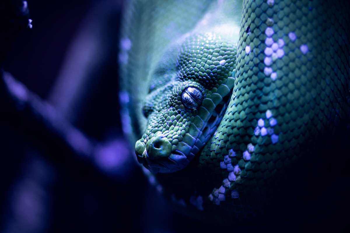 Configure Your Go Microservice for Cloud Using Viper | by Bertrand ...