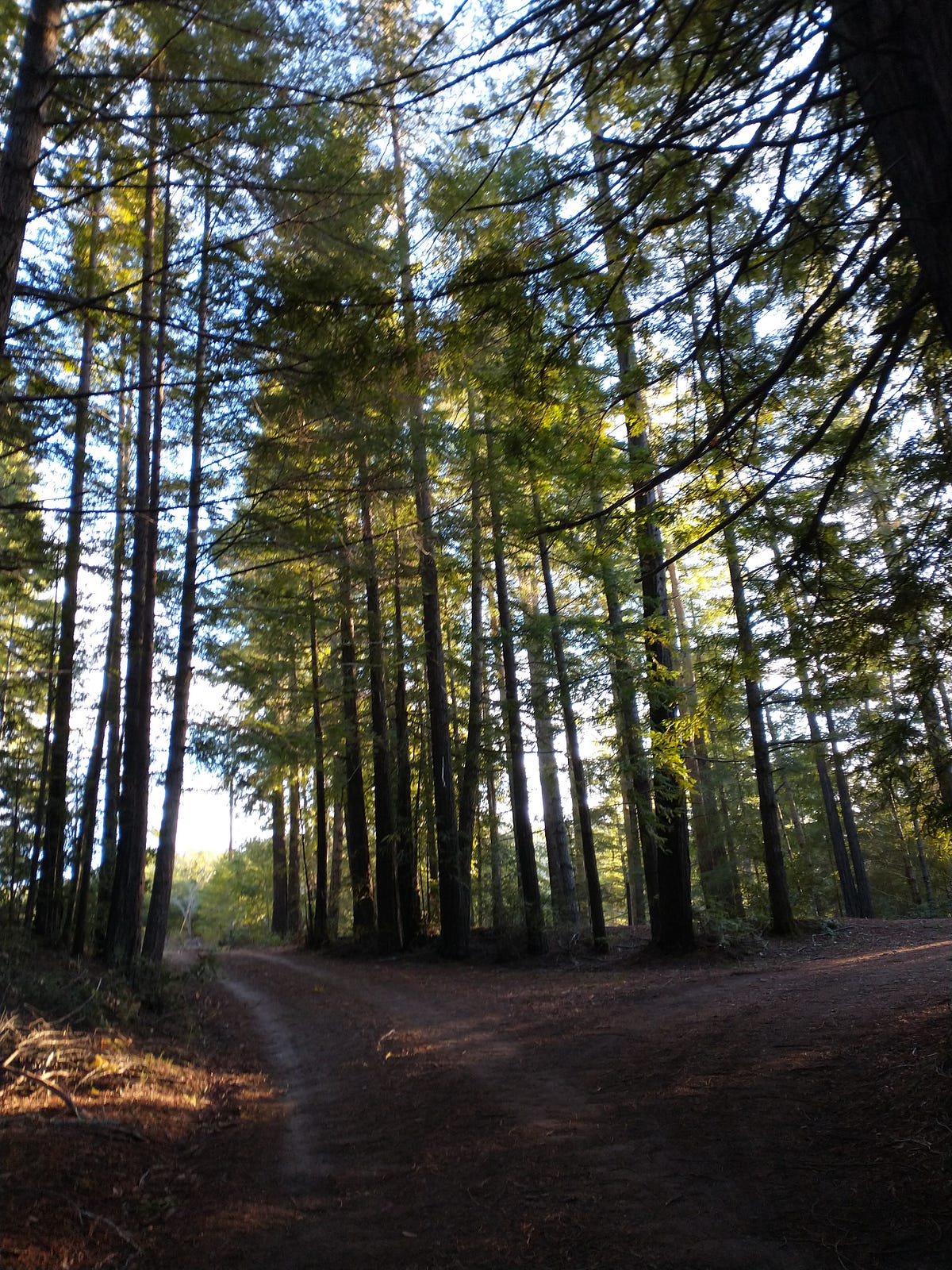 Laying low in Mendocino. As a newcomer, this place feels like… | by ...