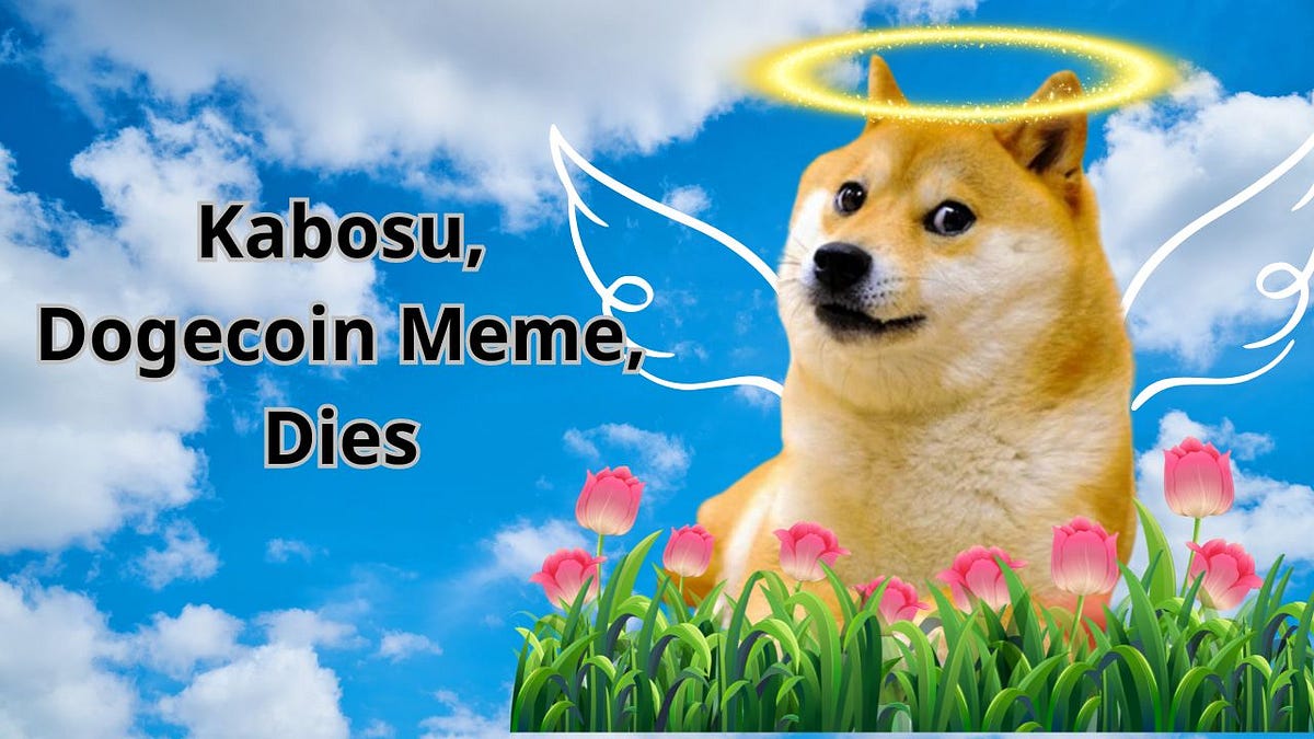 Shiba Inu Kabosu the face of Doge meme and Dogecoin has died ...