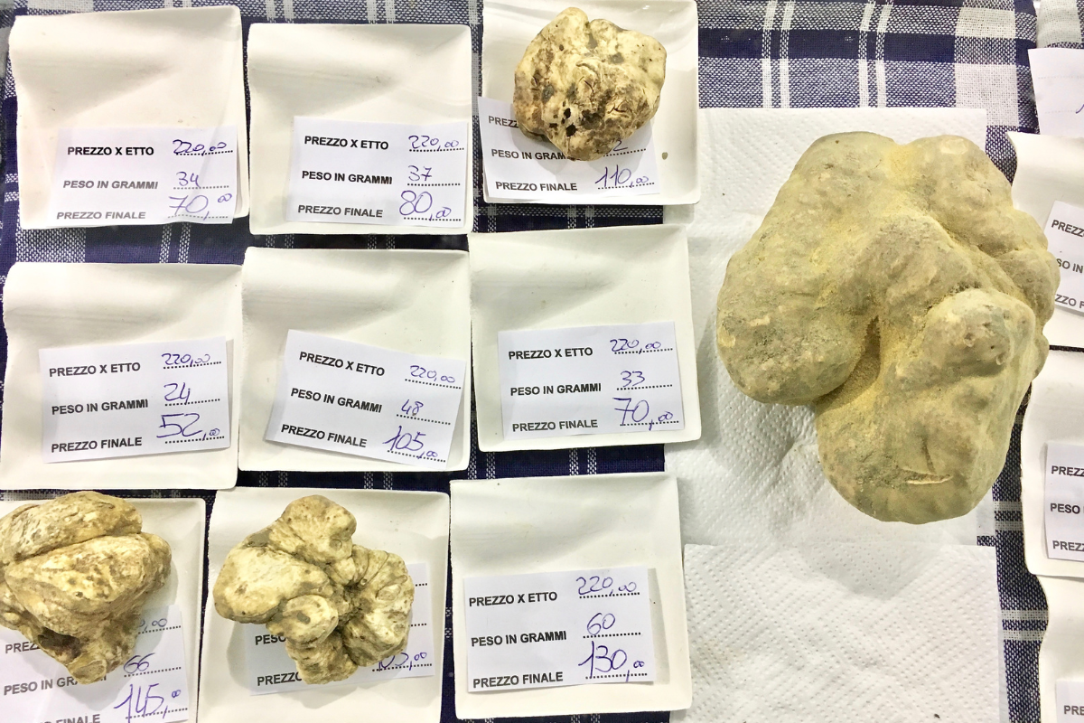 The Alba Truffle Fair Guide 2025: All You Need to Plan Your Visit | by ...