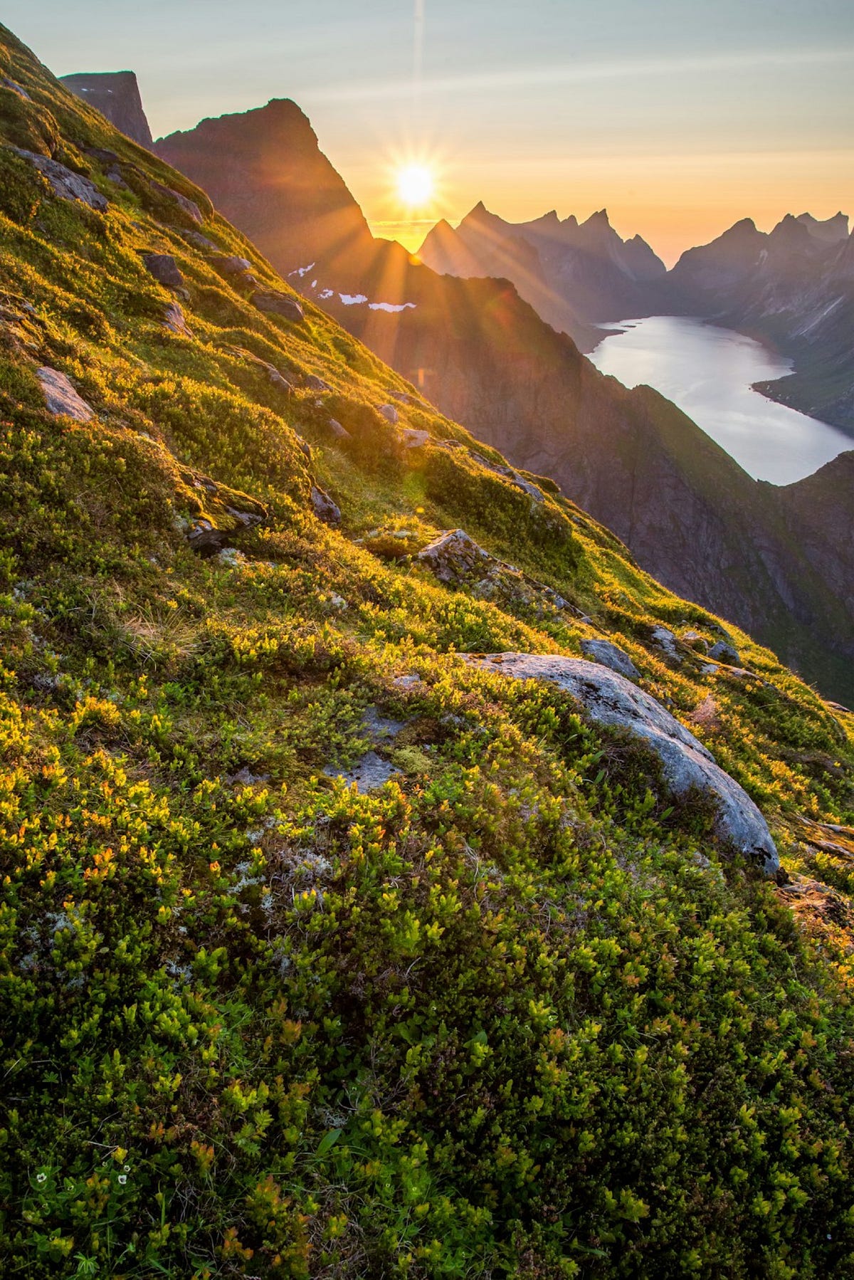The Way The Sun Shows Its Love - D.TwentyPlusOne - Medium