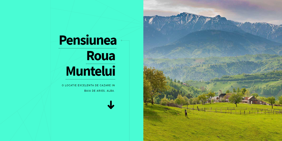 Creare Site Prezentare — Pensiunea Roua Muntelui | WebsiteMarket | by Websitemarket | Medium