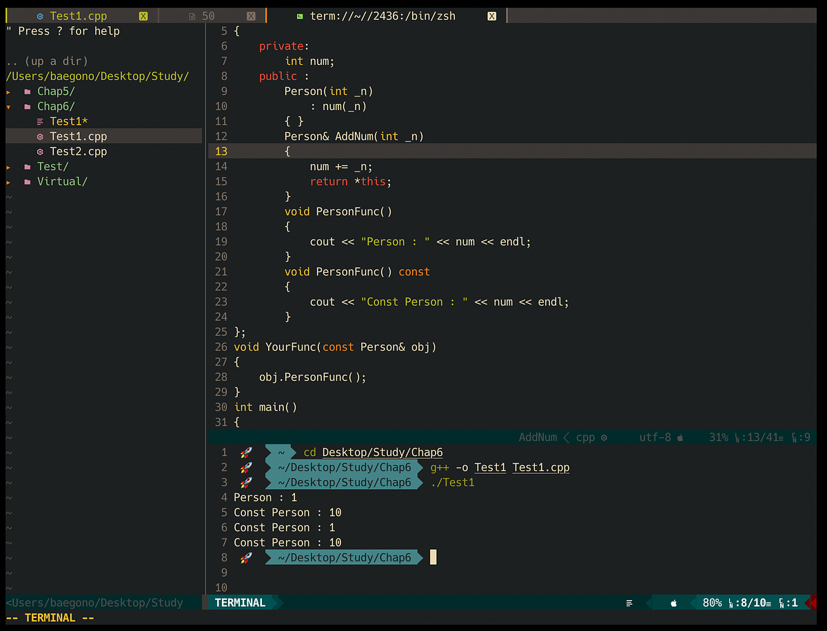 NeoVim & Terminal - GonoBae - Medium