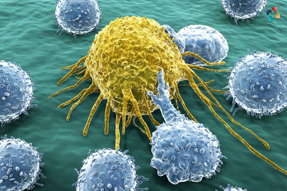 Understanding High Lymphocytes: Causes, Symptoms, and Treatment Options ...