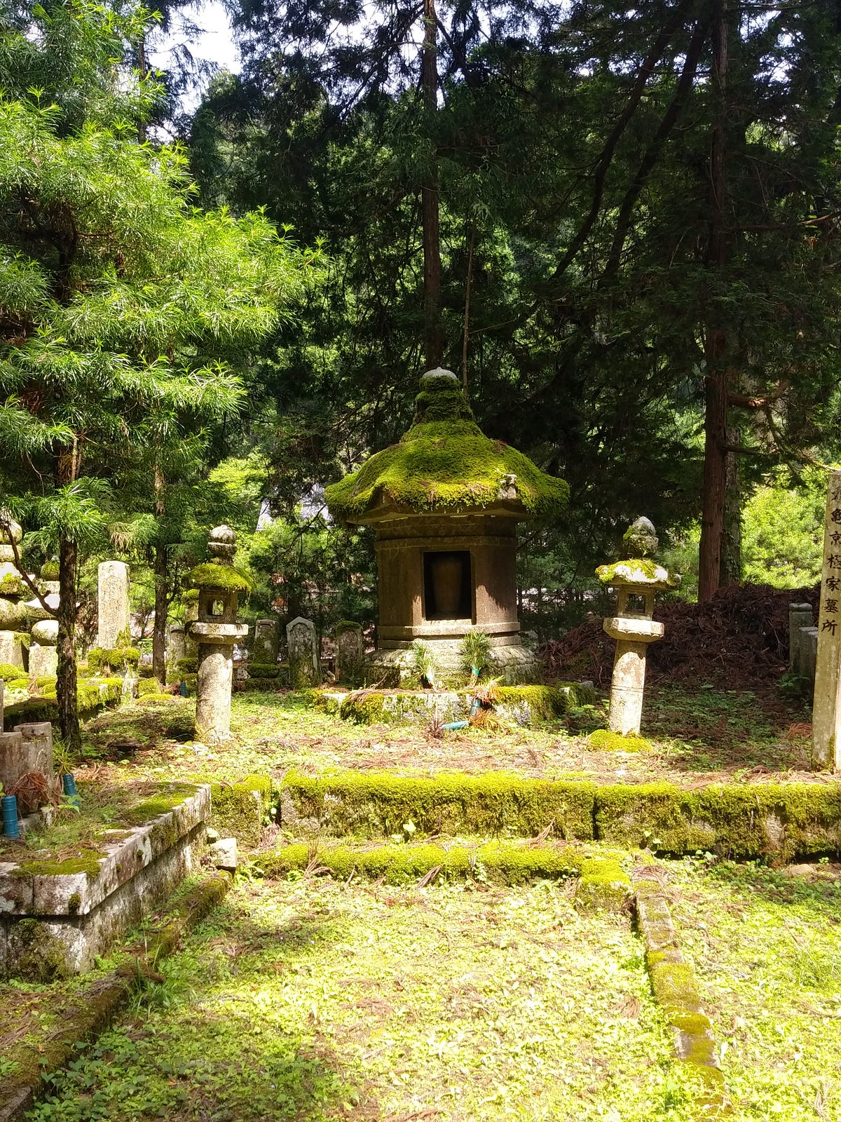 Haiku on Mt. Koya - Contemplate - Medium