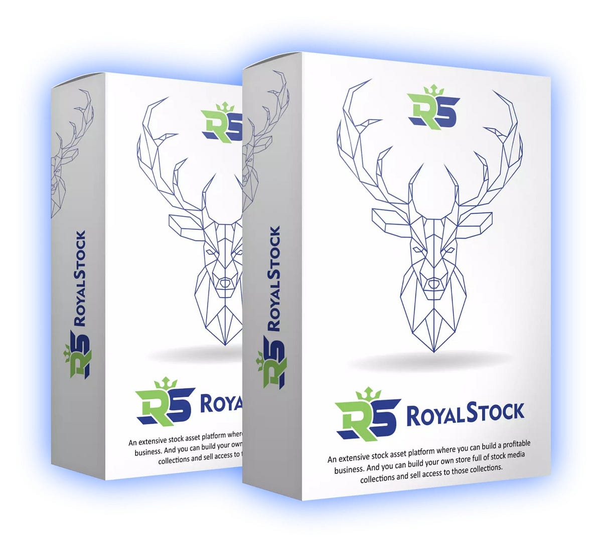 RoyalStock Review — Overview Of Product | by Mike Coenen | Medium