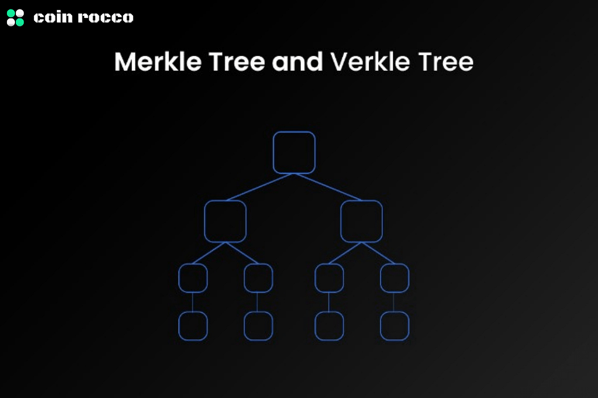 What is Merkle Trees and Verkle Trees | by CoinRocco | Medium