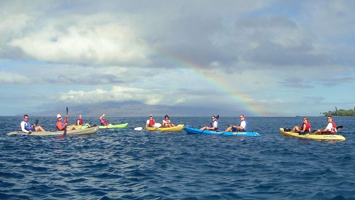 Embark on Adventure: Exploring Maui’s Thrilling Activities | by Maui ...