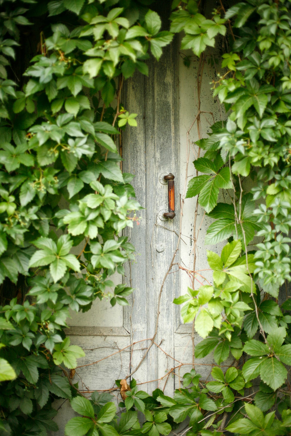 Letting Go of Frustration | by Temani F. Aldine | Medium