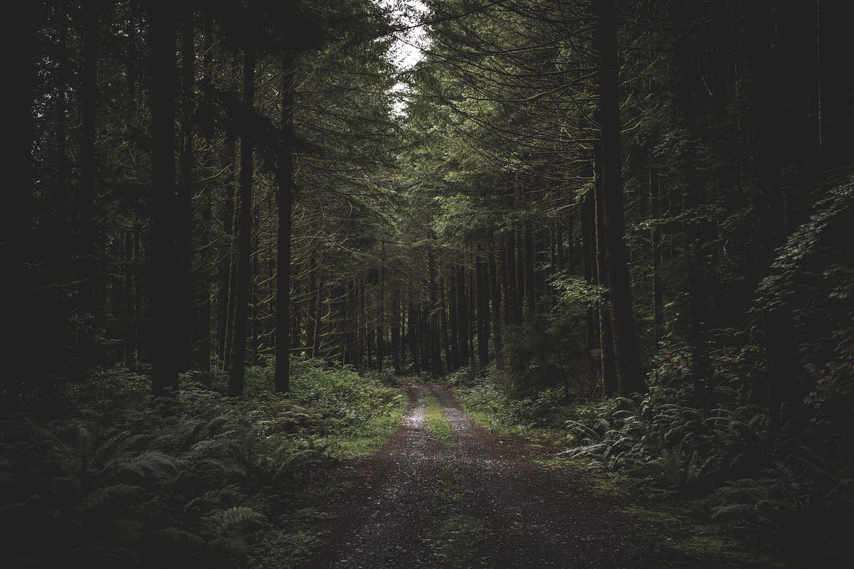 The Road of Trials. If you’re an Episode writer, Campbell’s… | by ...