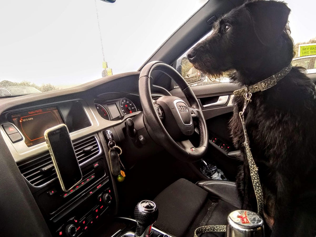 Motorists. It’s all downhill from here… | by Alexander Wheatley | Medium