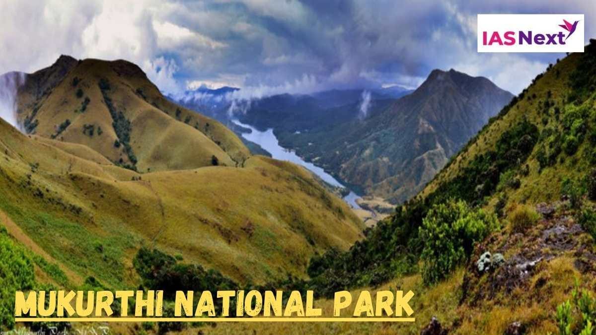 Mukurthi National Park - Best IAS Coaching in Lucknow - Medium