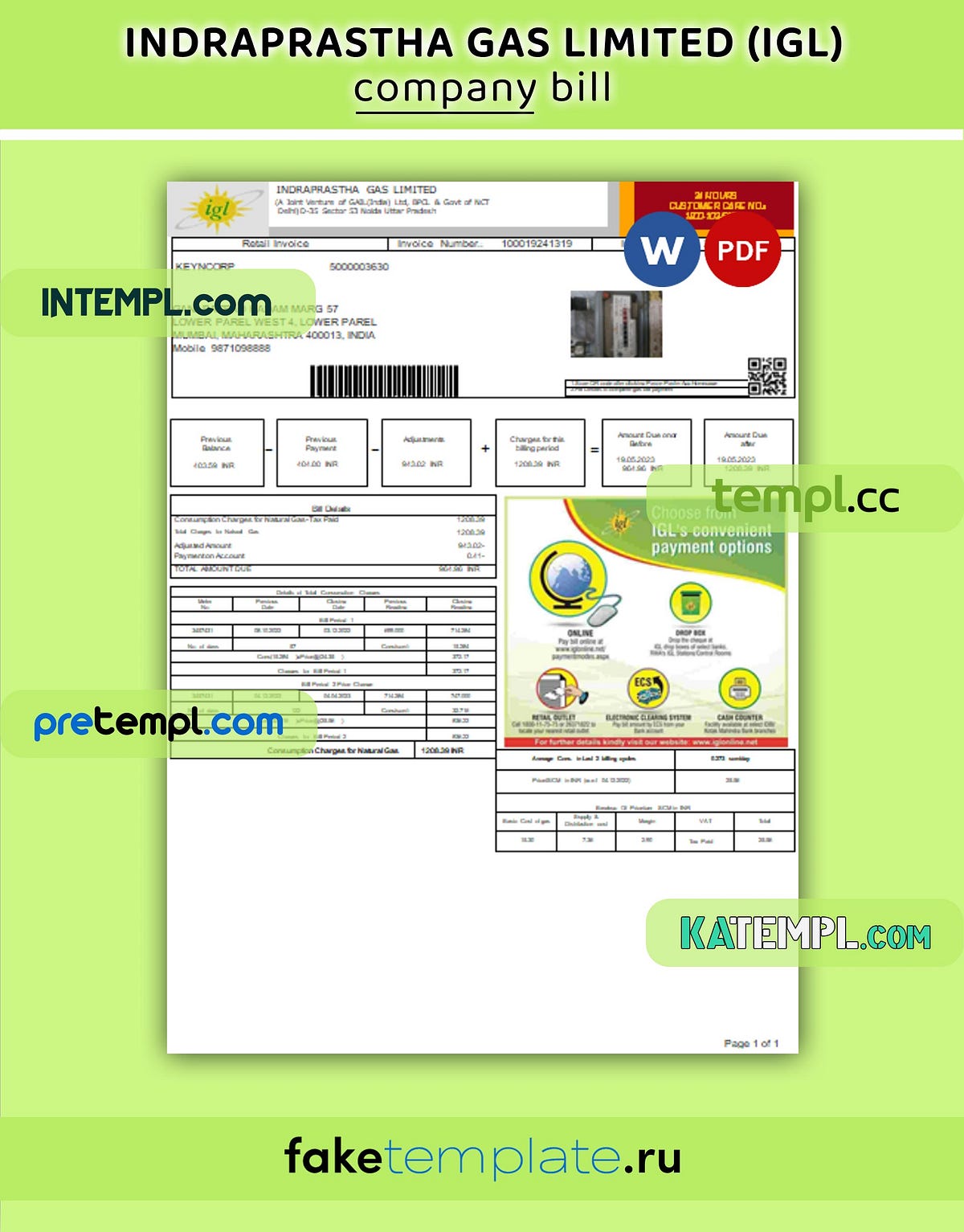 Indraprastha Gas Limited (IGL) business utility bill, Word and PDF ...