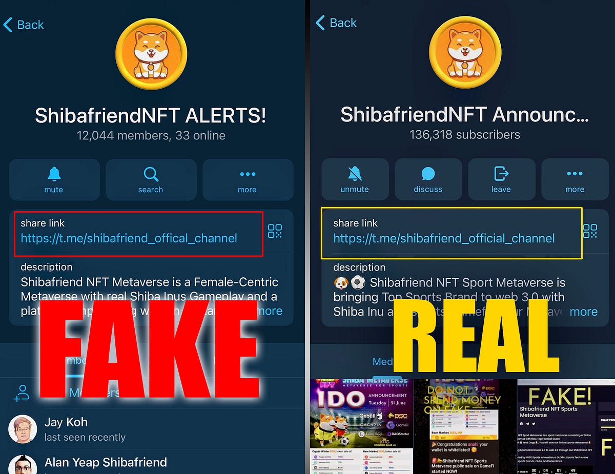 BEWARE!!! ANOTHER FAKE TELEGRAM CHANNEL! - Shibafriends.xyz - Play ...