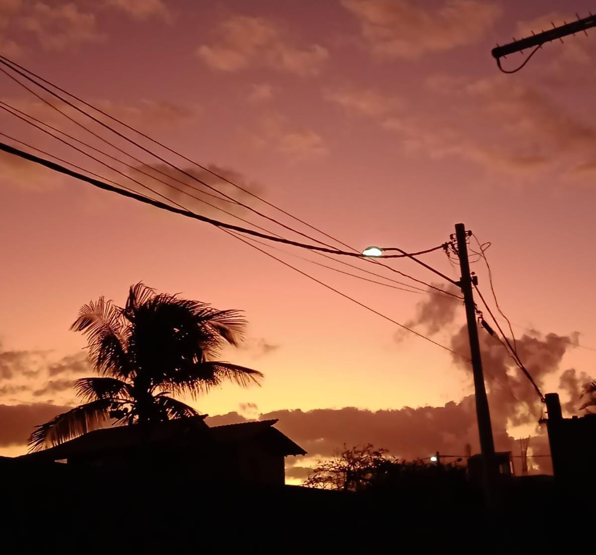 What does life looks like?. Life is when my mother makes a dish I… | by ...