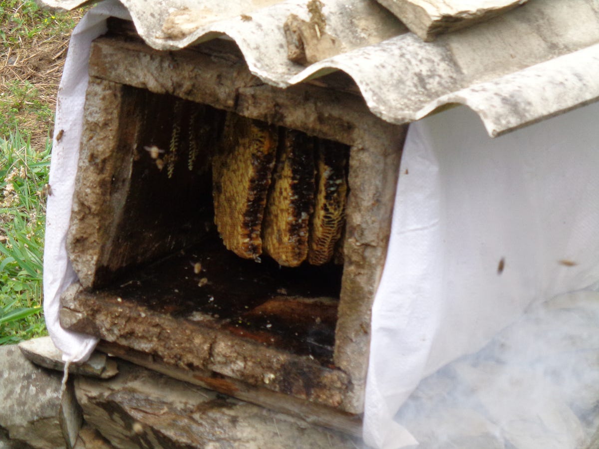 My Parents’ Traditional Way of Beekeeping | by Yan Zi | Jun, 2025 | Medium
