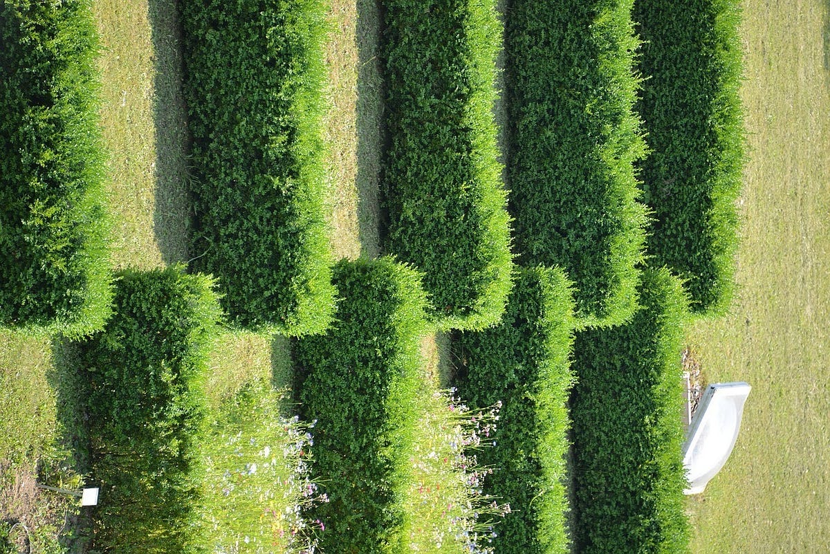 Hedging your happiness. tl;dr there are no absolutes. highs and… | by ...