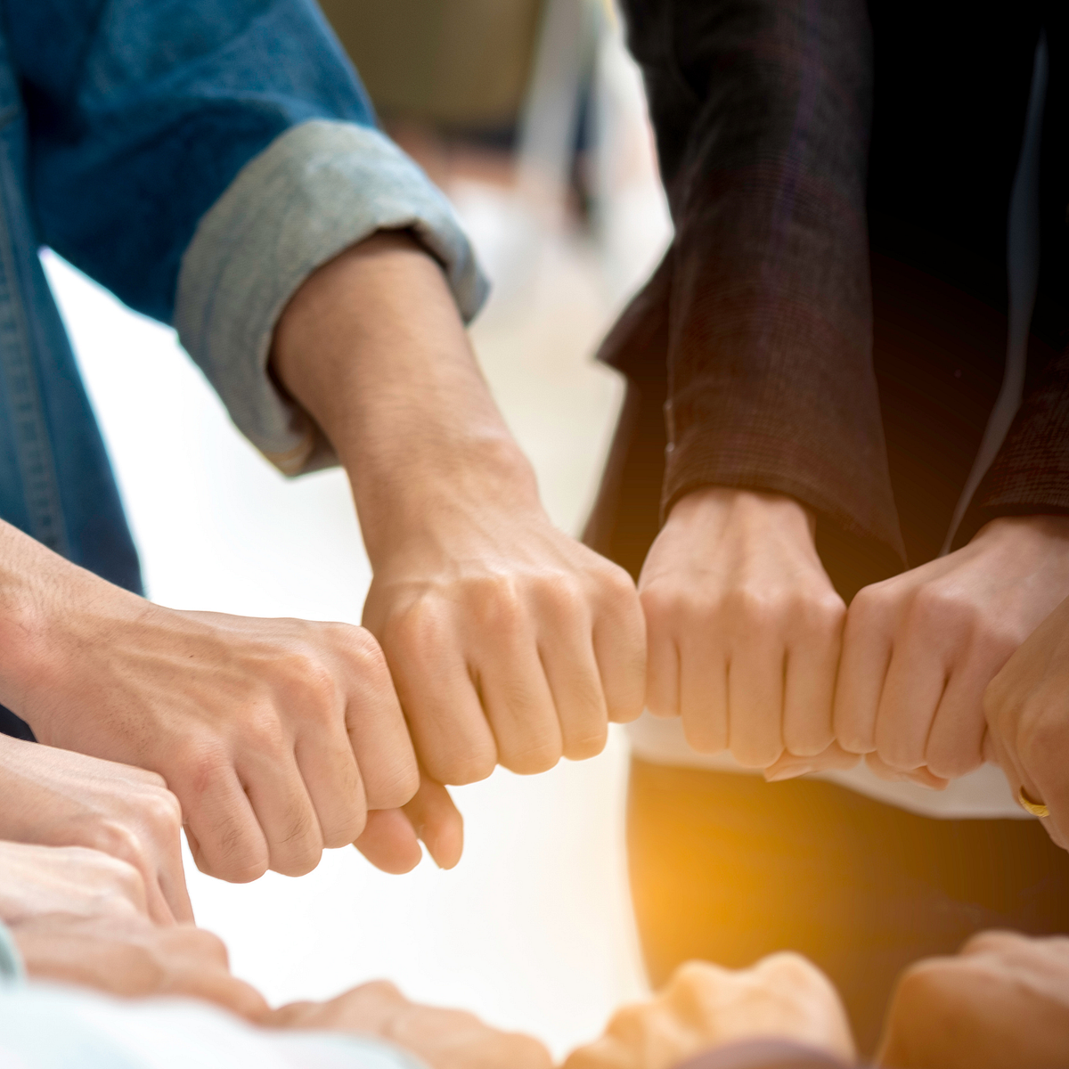 Fostering Team Harmony: Navigating Perspectives, Building Relationships ...