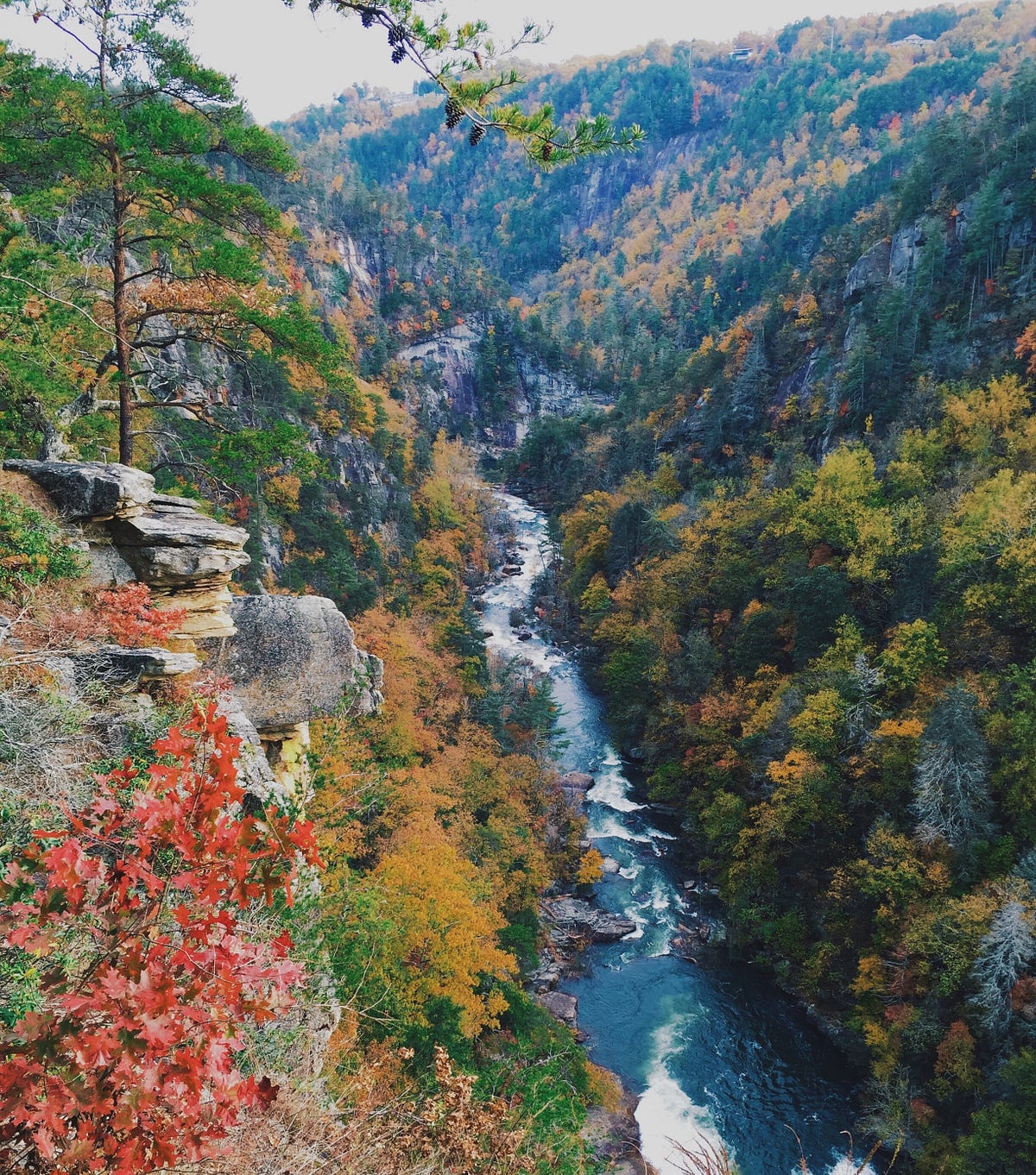 Does A River Have Rights?. Yes. The answer is yes. | by Jeremy Puma ...