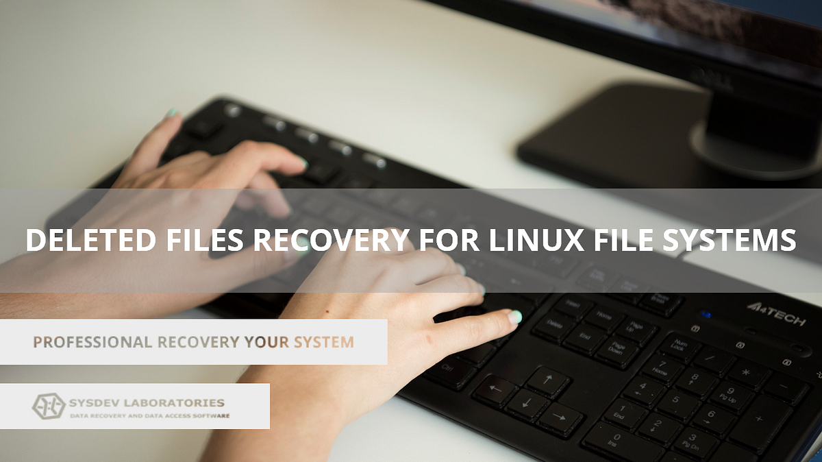 Linux file systems. Open-source Linux OS always aimed to… | by ...
