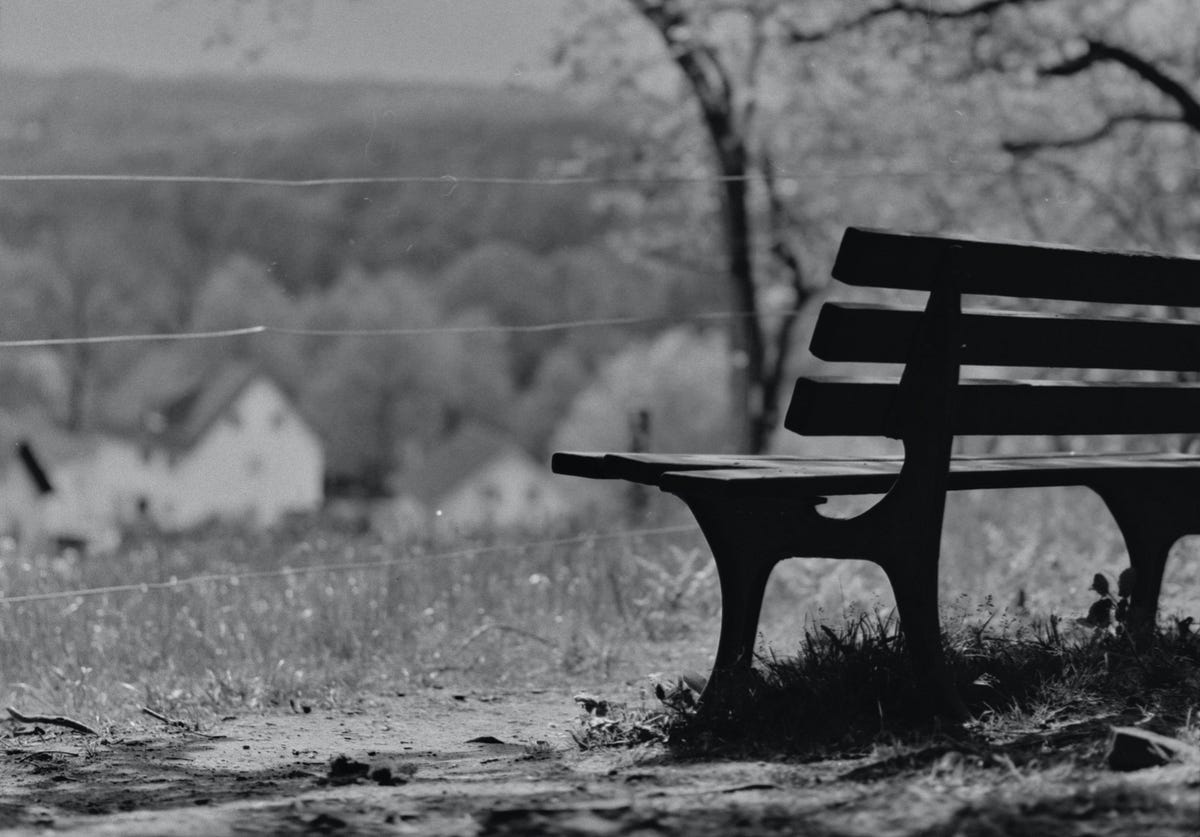 Park Bench Frida Khalo. A poem | by Vic Spandrio | Scuzzbucket | Medium